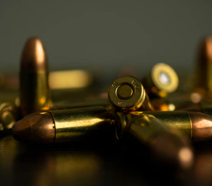 An agent-vector model for controlling small arms and light weapons ...